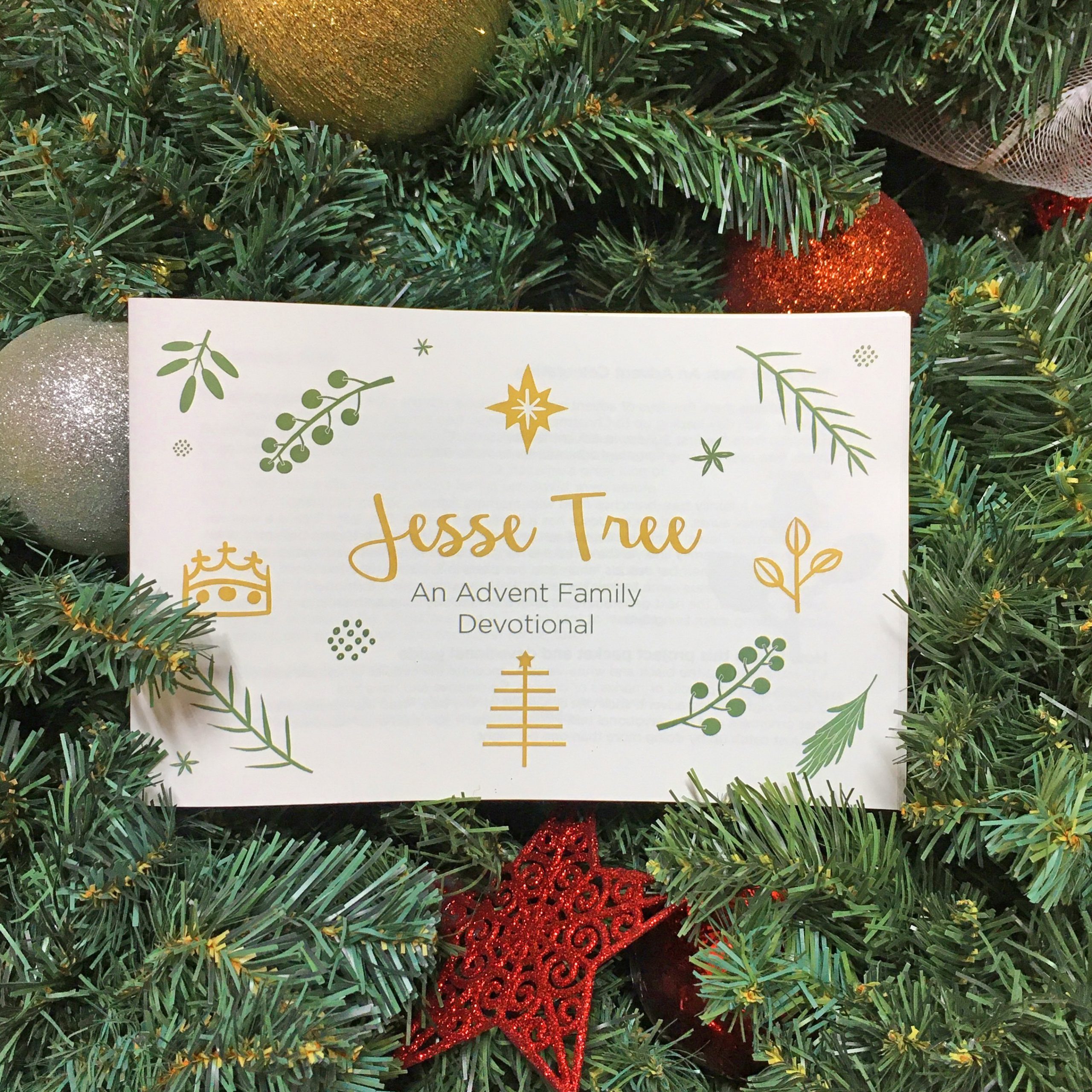 The Jesse Tree | Calvary Baptist Church