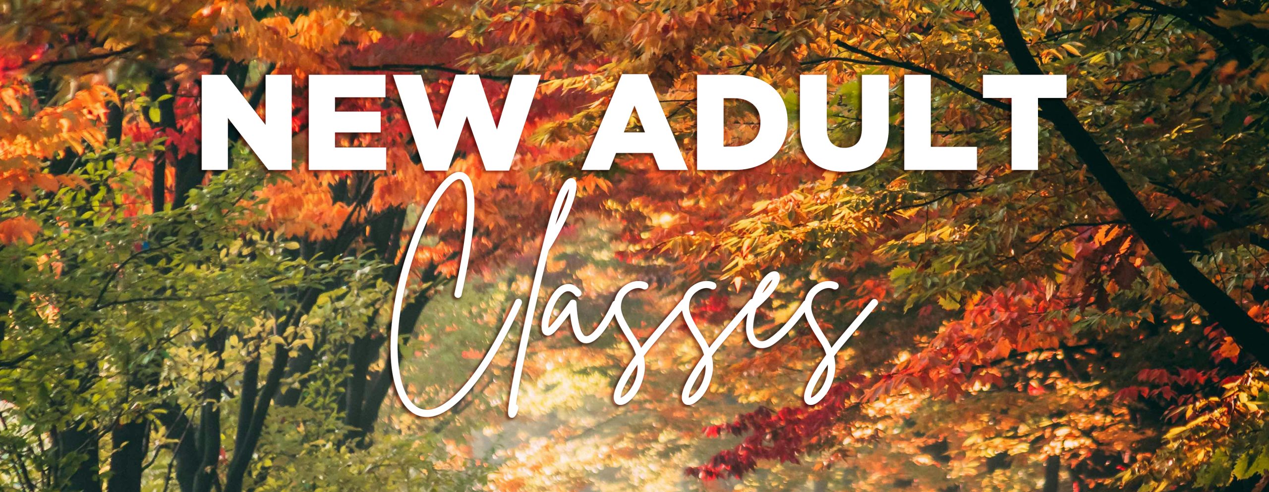 Adult Classes | Calvary Baptist Church