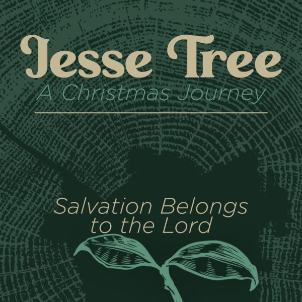 Jesse Tree Week 3 | Salvation Belongs to the Lord | Calvary Baptist Church